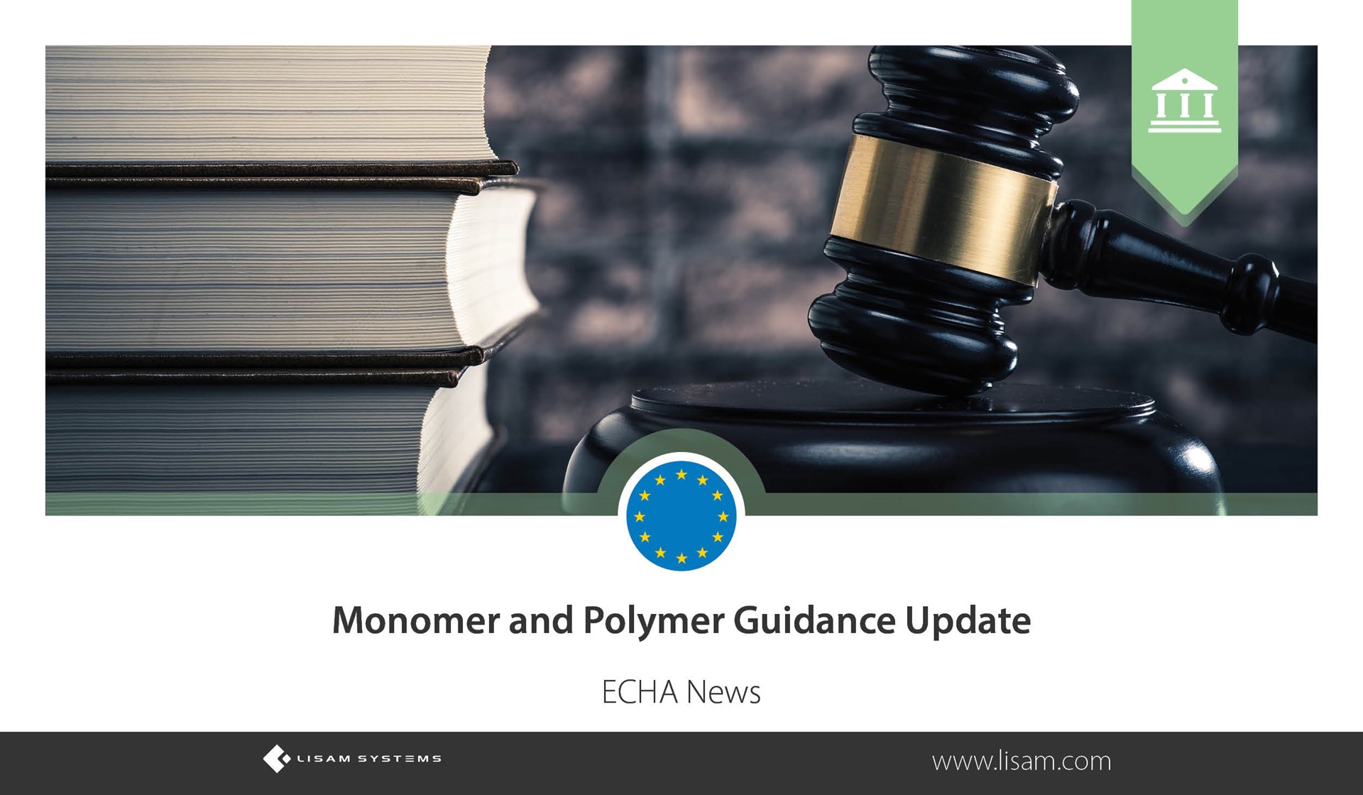 Monomer and Polymer Guidance Update - Lisam